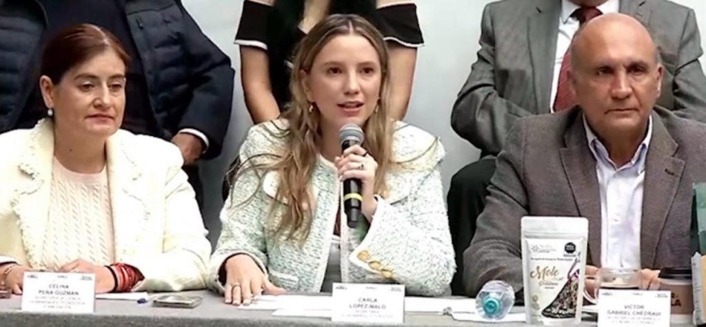 Puebla será sede de dos grandes eventos que impulsarán su economía en ...